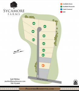 Sycamore Farms site plan - Peachtree Residential